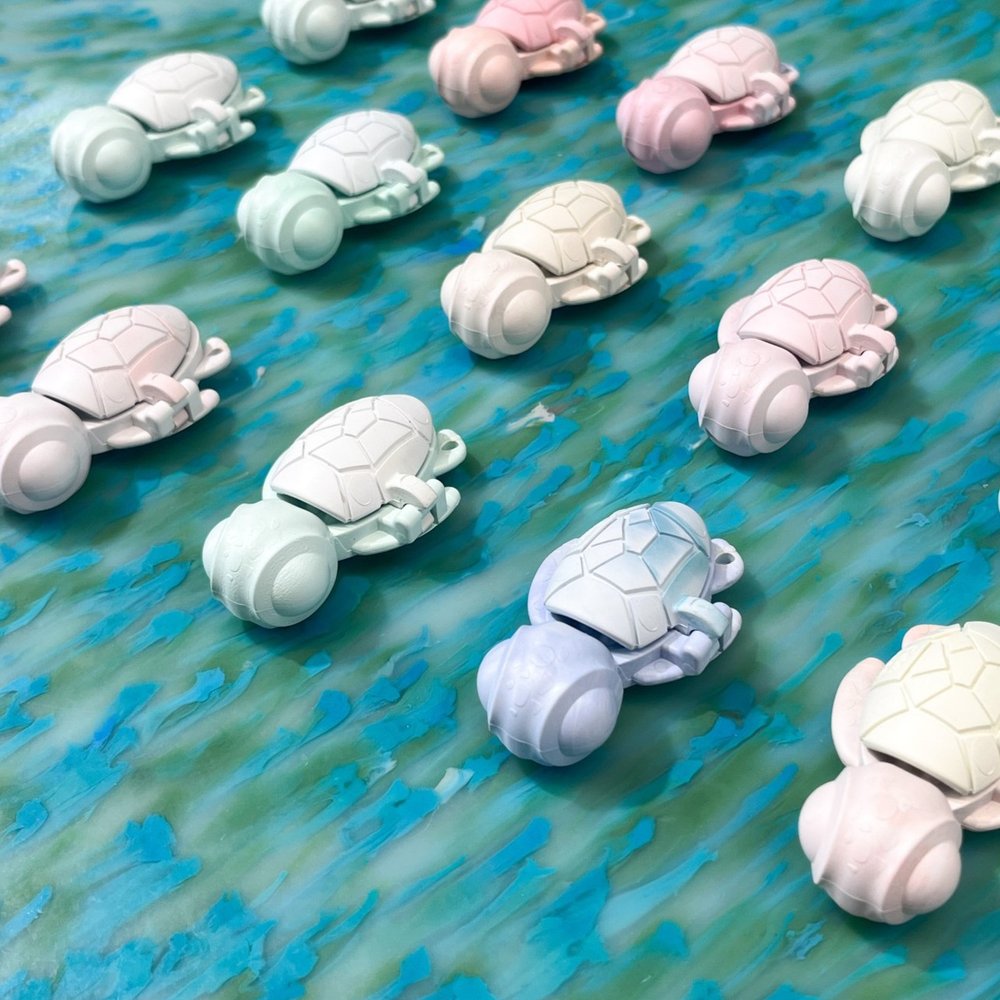 Calm Buddi Turtle - FunAbility