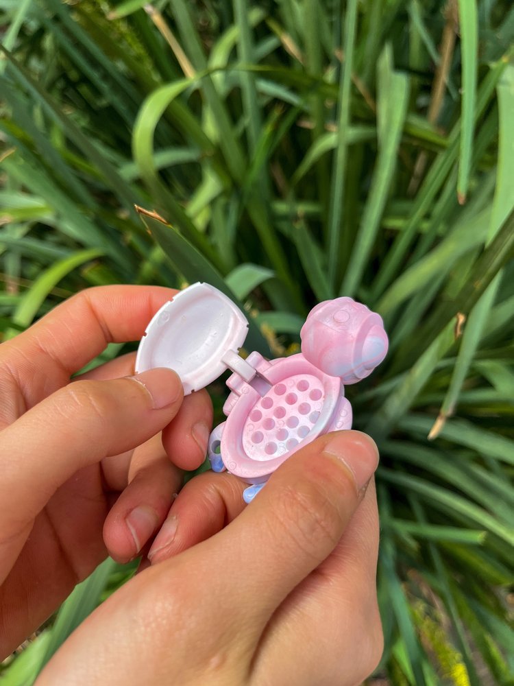 Calm Buddi Turtle - FunAbility